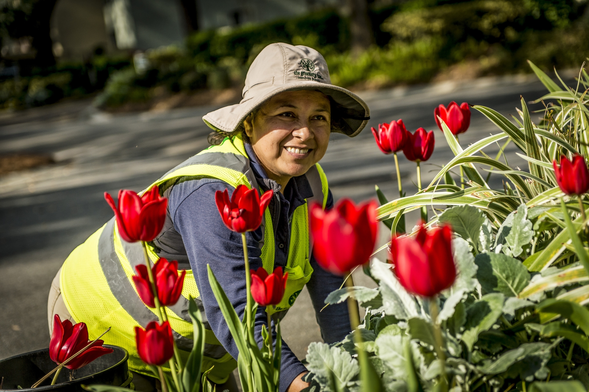 The Greenery, Inc. | Hilton Head Island
