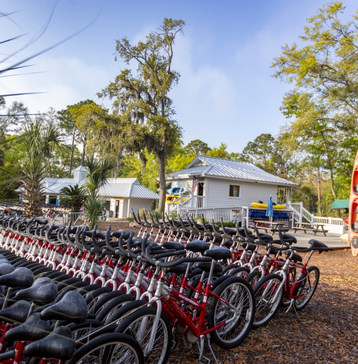 Bicycle Adventures | Hilton Head Island